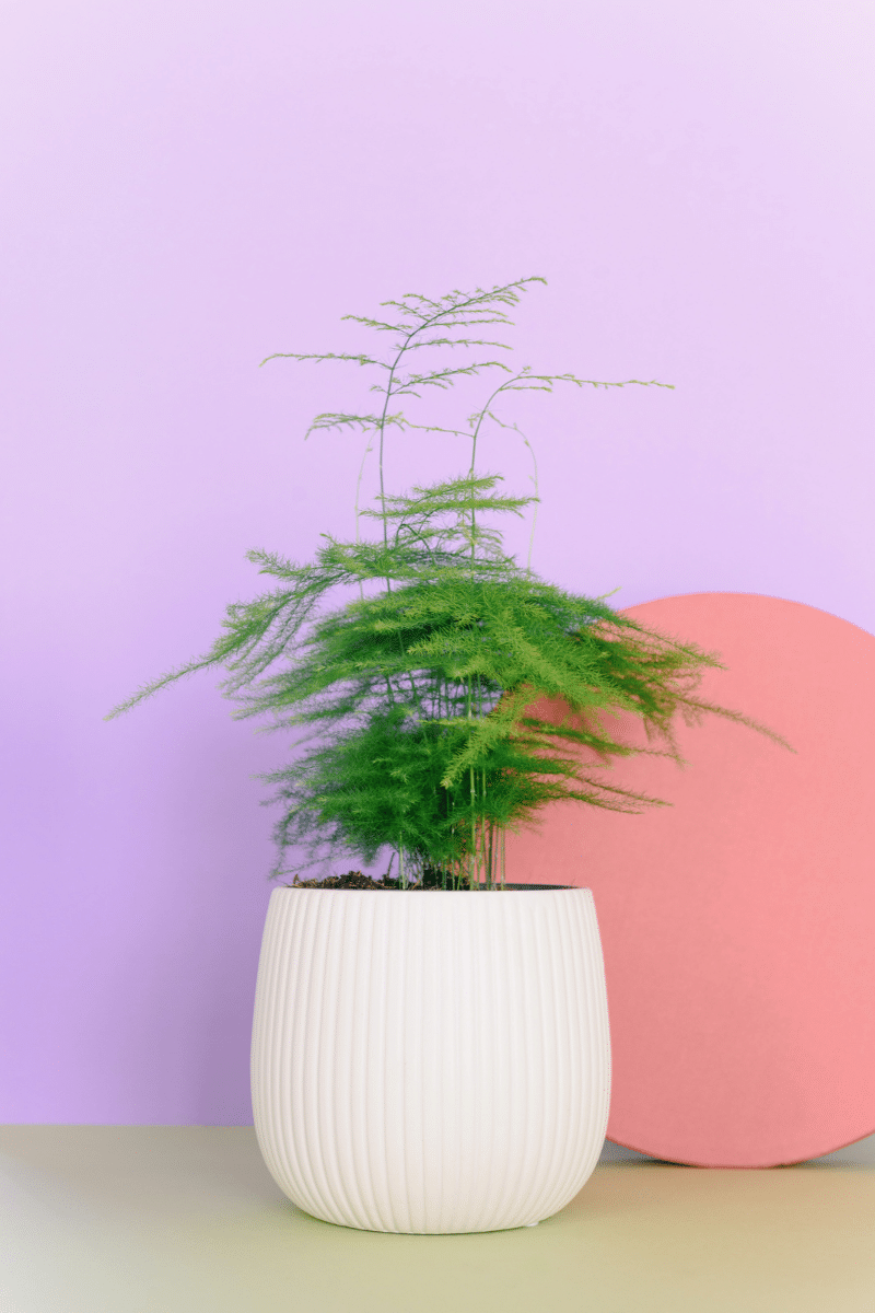 Rosa na decoração como Refúgio de Beleza e Autocuidado - Studio Co.Crie